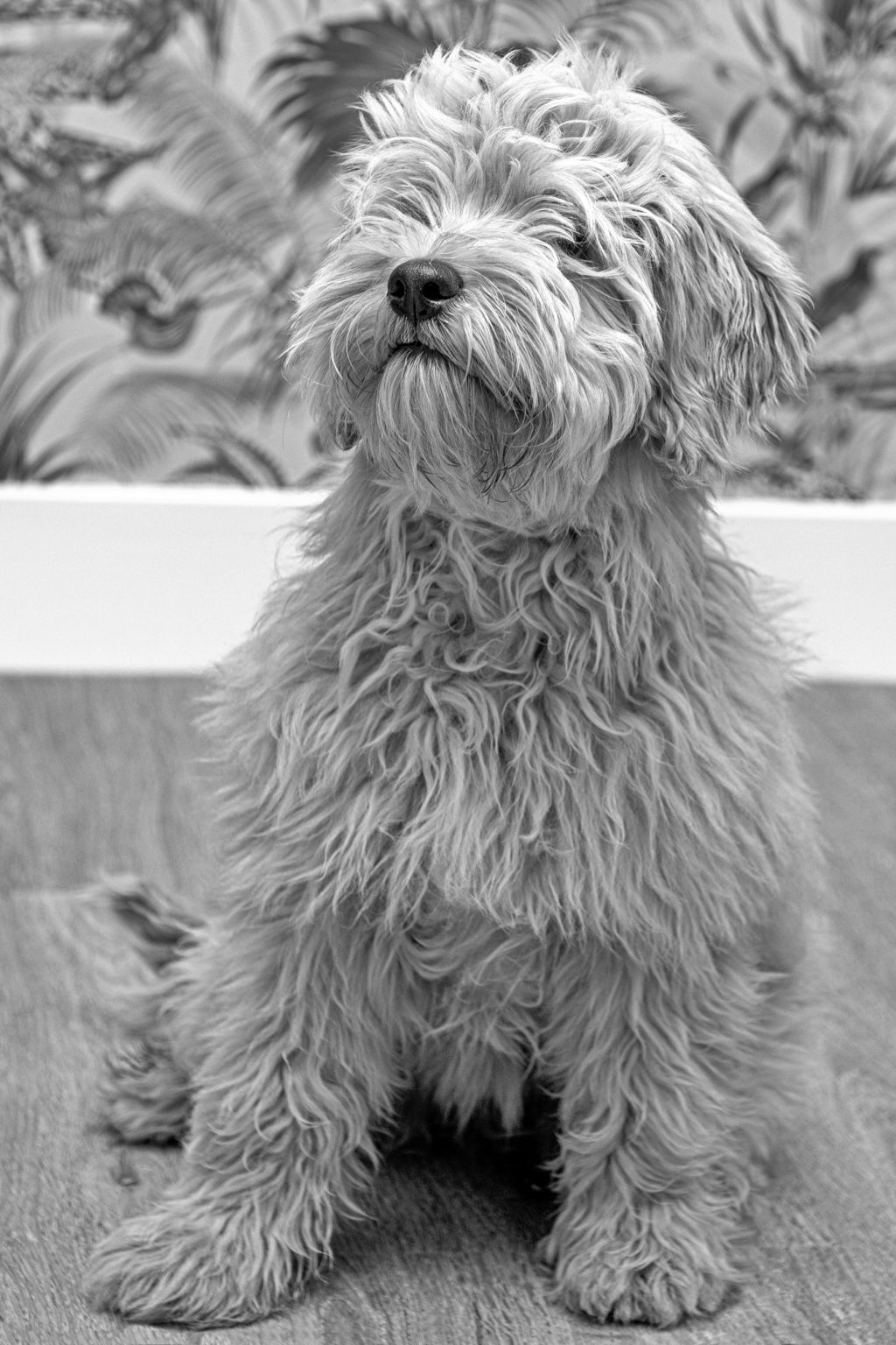 Noura - Wolfert in Context