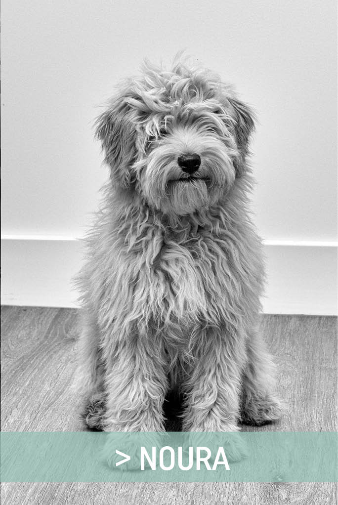 Team - Wolfert in Context