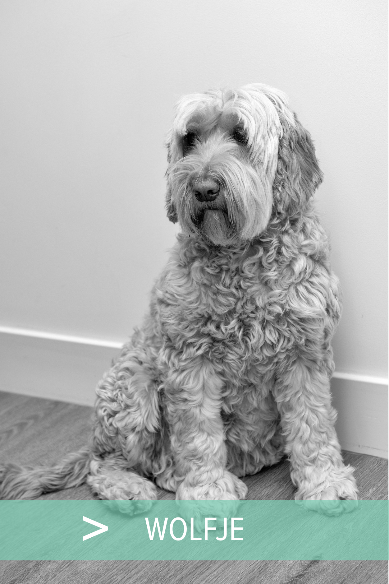 Team - Wolfert in Context